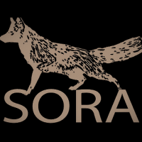 Sora House | The Talent Manager